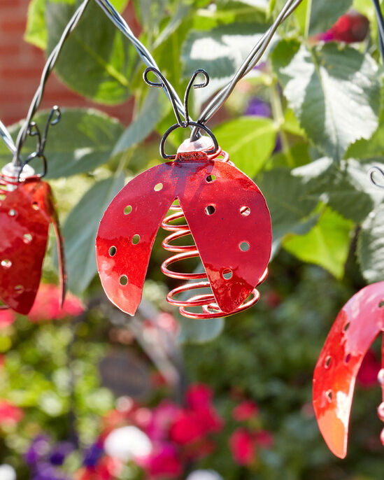 10 Ladybug Solar String Lights - Terra Nova Garden & Gift Shop